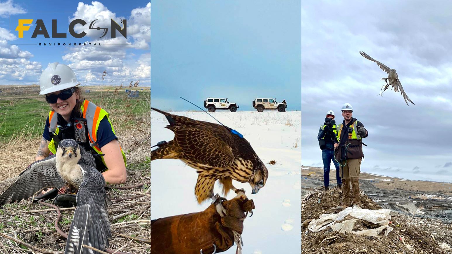 Falcon Environmental Inc - Airport Technology