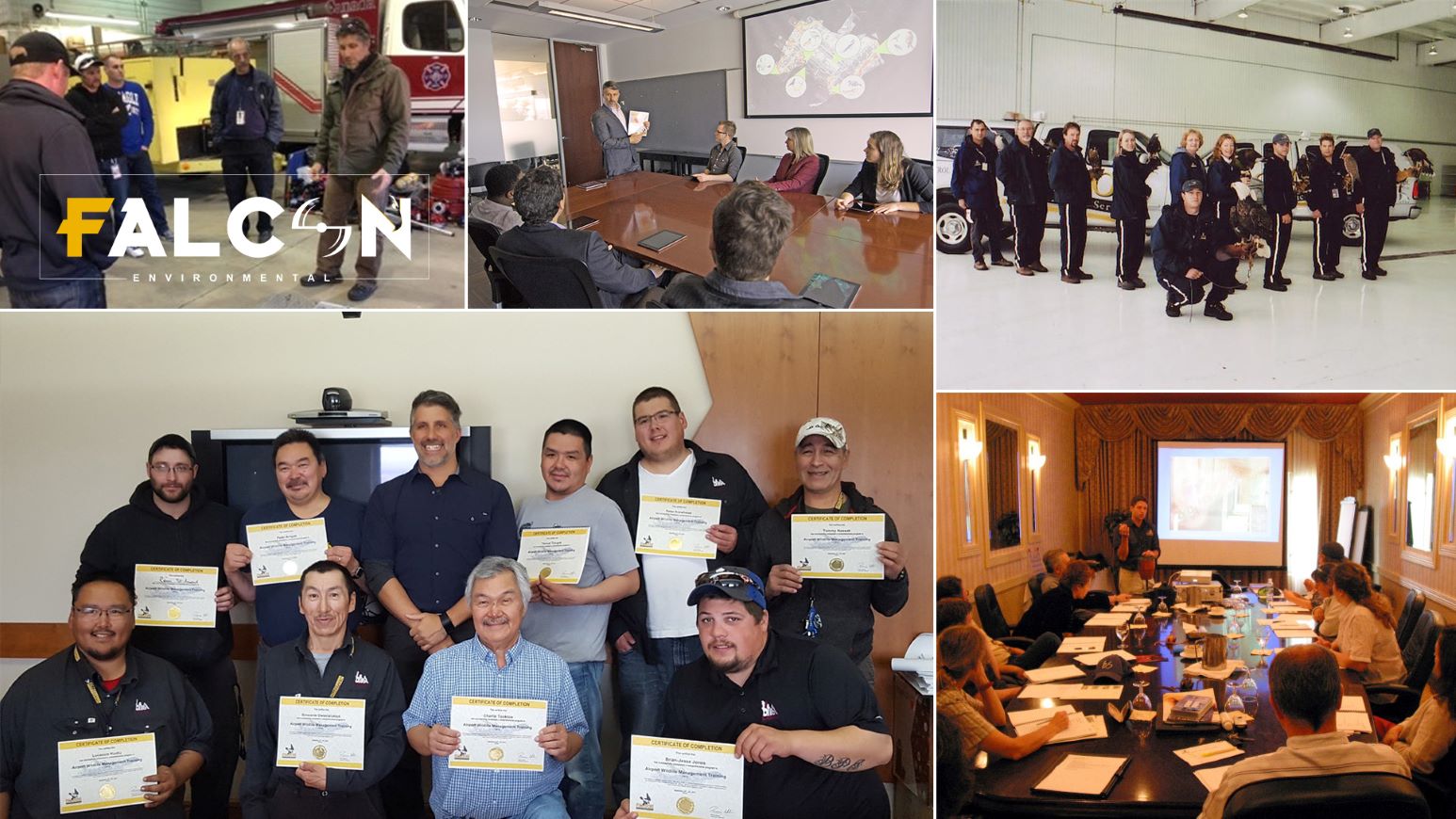 Falcon Environmental Inc - Airport Technology