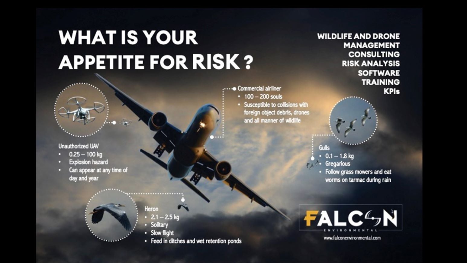 Falcon Environmental Inc - Airport Technology